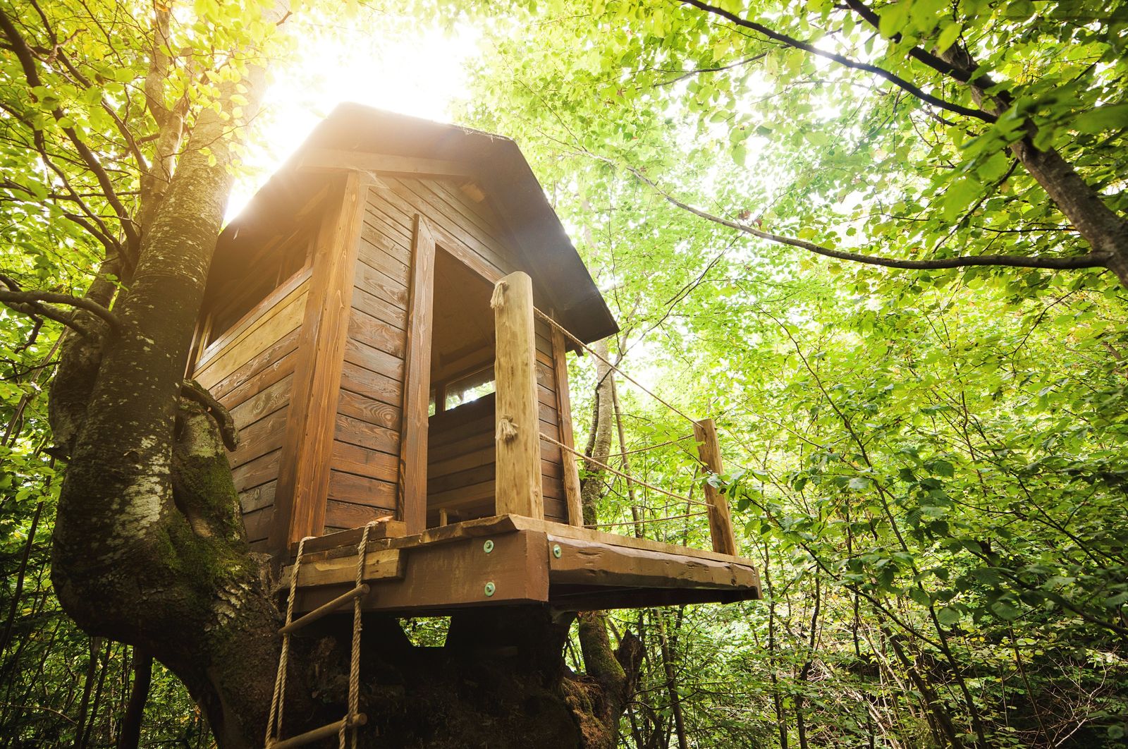 10 of the Most Amazing Treehouses You Surely Want to Climb
