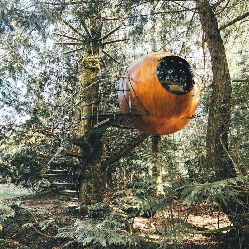 10 of the Most Amazing Treehouses You Surely Want to Climb