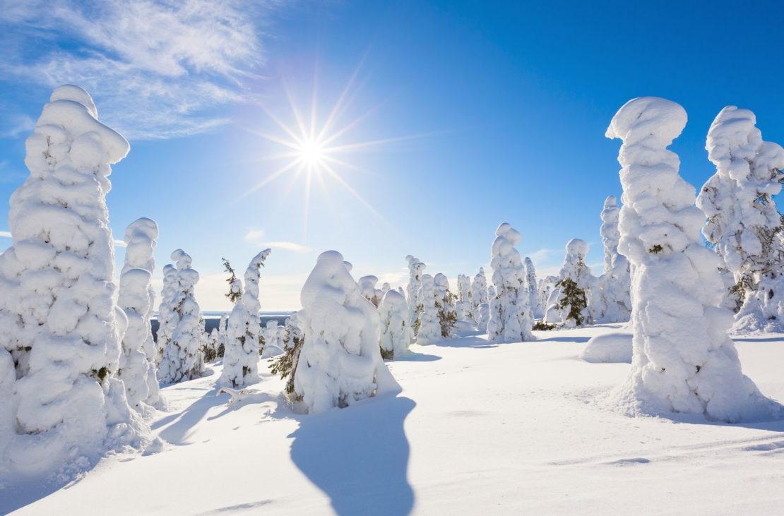 Explore the Hauntingly Beautiful Frozen Forests of Finland