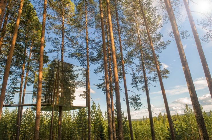 10 of the Most Amazing Treehouses You Surely Want to Climb