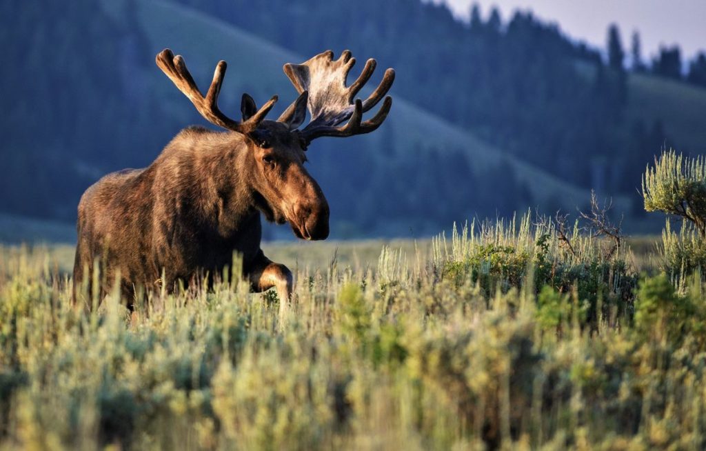 10 Things About Canada That Shock First-Time Visitors