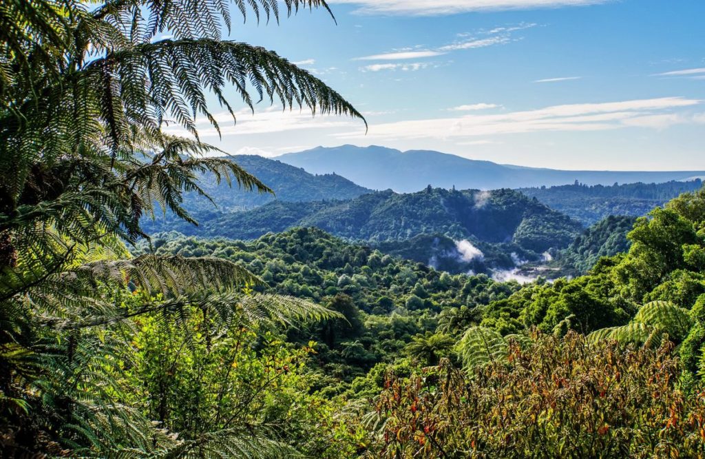 Frying Pan Lake: The World’s Largest Hot Spring